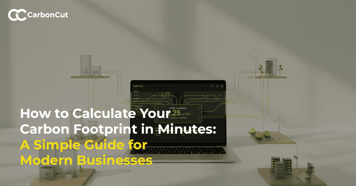 How to Calculate Your Carbon Footprint in Minutes: A Simple Guide for ...