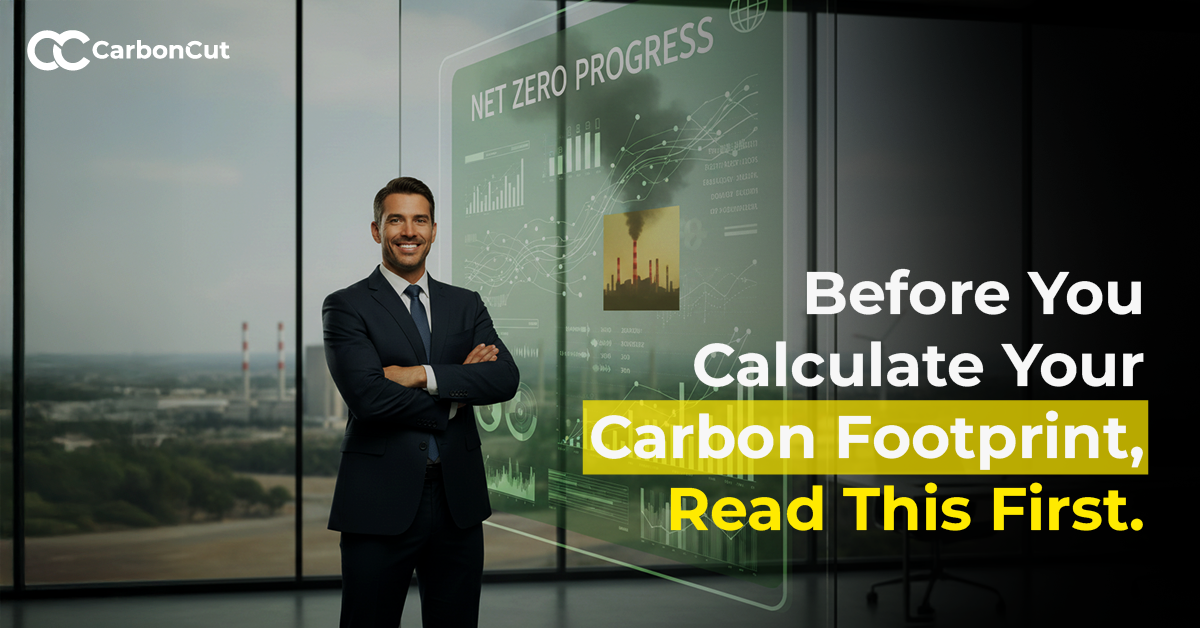 Before You Use a Carbon Footprint Calculator | CarbonCut | CarbonCut